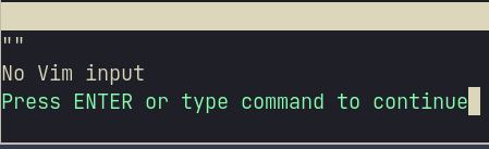 `vim.fn.input` can only use a string as `cancelreturn` · Issue #19356 · neovim/neovim · GitHub