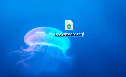 GitHub - mariebilan/mariebilan-mysql_administration: Using of primary ...