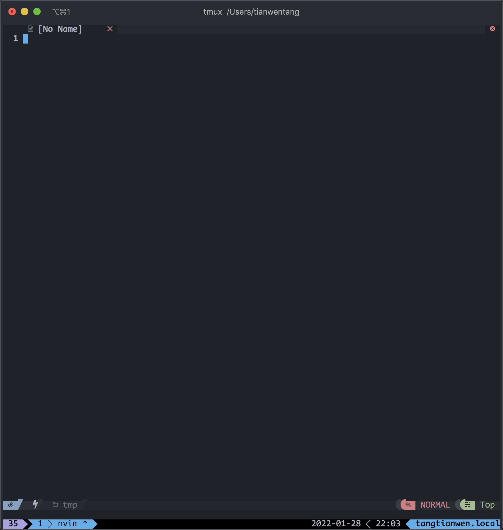statusline display error · Issue #759 · NvChad/NvChad · GitHub