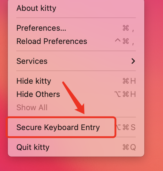 Kitty can't transfer to other apps. · Issue #5533 · kovidgoyal/kitty · GitHub