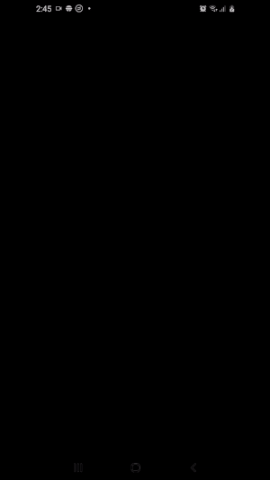 [webview Flutter] When Recording App With Webview Output Video Shows Blank App · Issue 72441