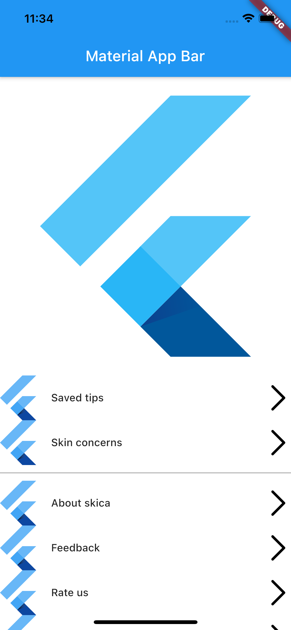 Flutter showing odd borders that don't actually exist. · Issue #80330 ...