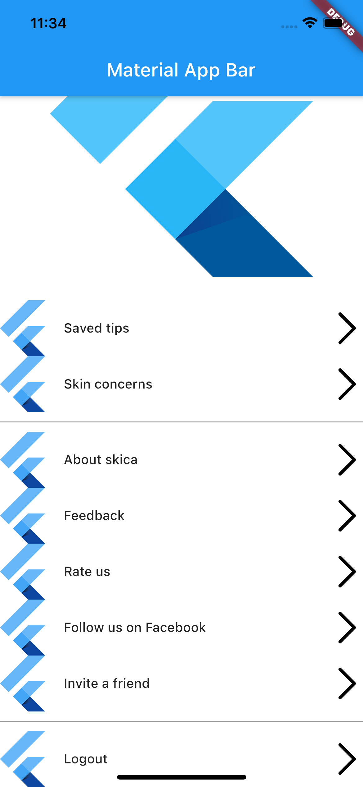 Flutter showing odd borders that don't actually exist. · Issue #80330 ...