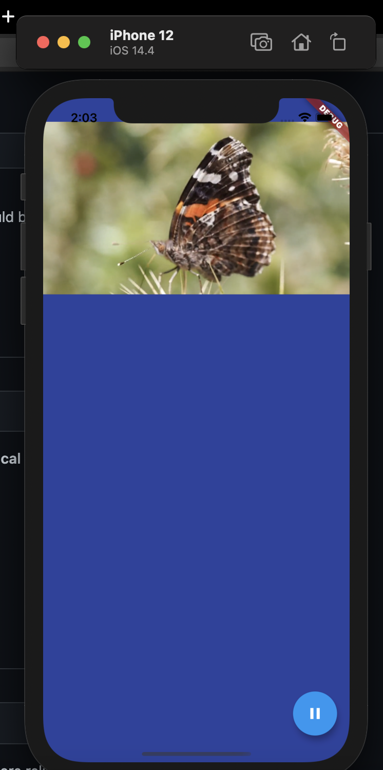 [video_player] Black screen on iOS simulator · Issue #76674 · flutter/flutter · GitHub