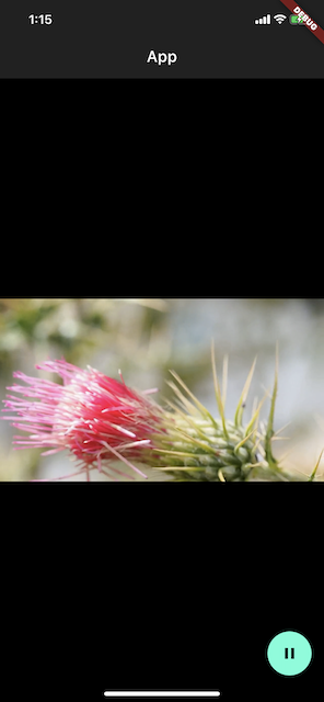 Video Player To Working In Ios Devices · Issue 60799 · Flutterflutter · Github