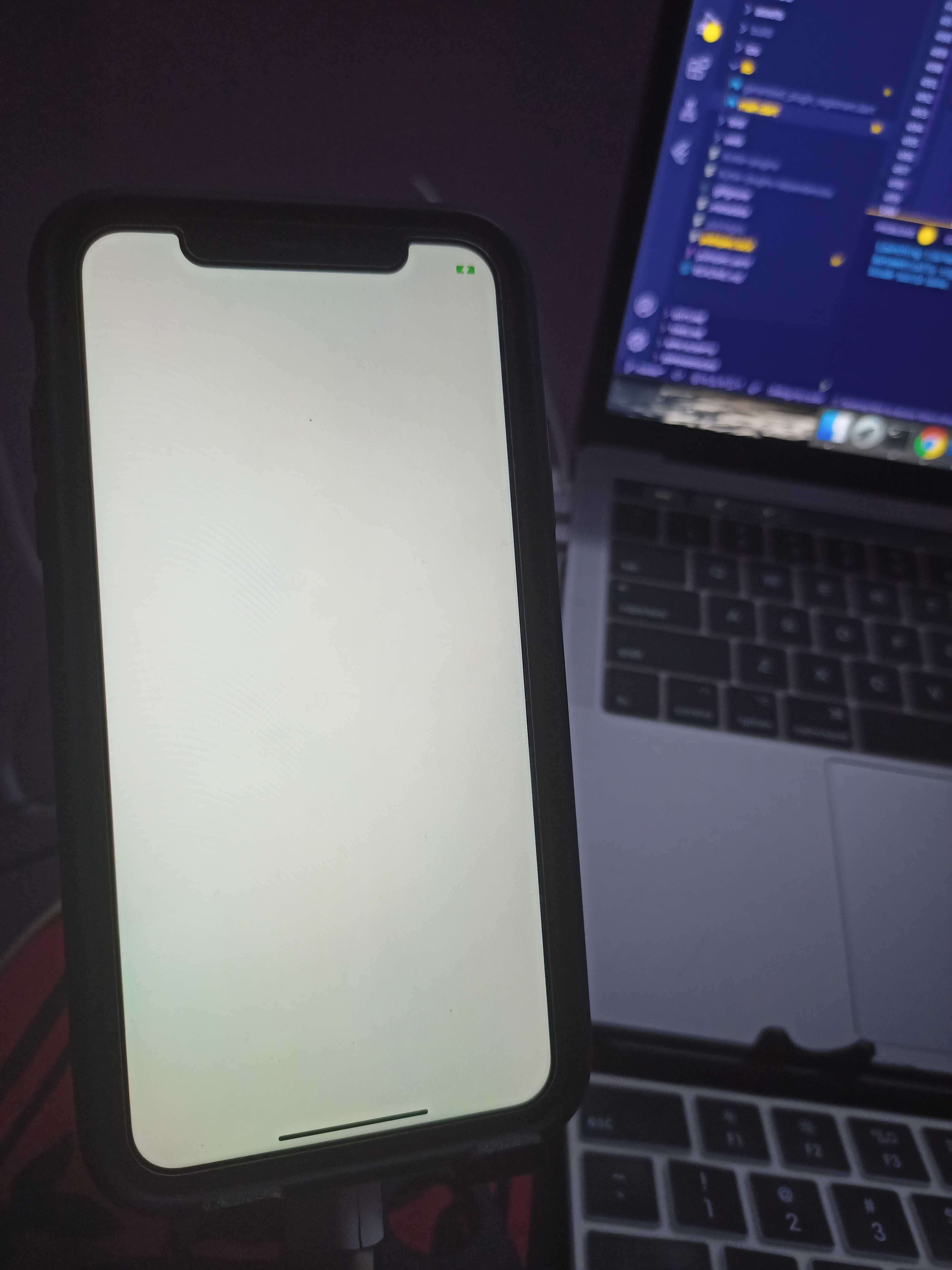 Stuck on white screen when debugging iOS · Issue #63800 · flutter/flutter · GitHub