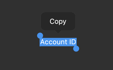 Text is clipped upon Cupertino text selection when using Large Text under accessibility · Issue ...