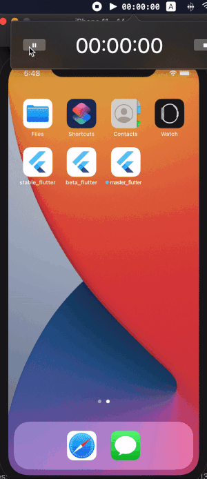 When debug flutter App with Xcode, It will be in white screen it will ...
