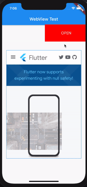 Leaving The Flutterviewcontroller Hosting A Webview Breaks The Next Launch · Issue 33106