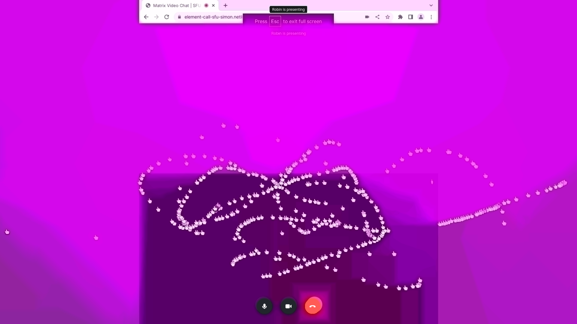 You shouldn't be able to make your own screensharing feed fullscreen ...