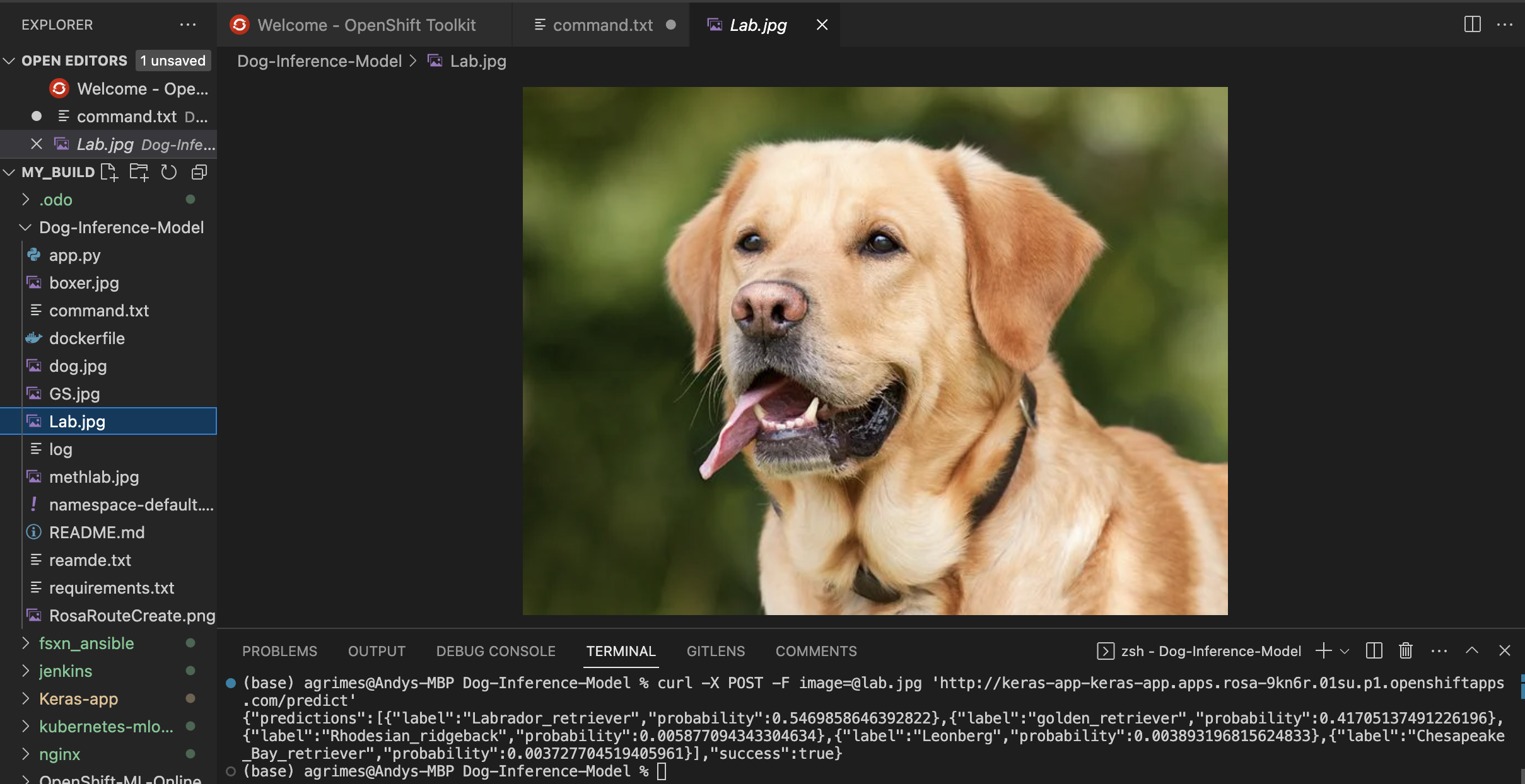 GitHub - emcon33/Dog-Inference-Model: Keras App is a datascience ...