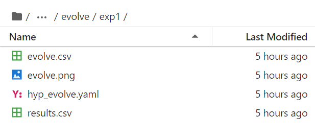 Multi-GPU Hyperparameter Evolution generated multiple hyp_evolve.yaml ...