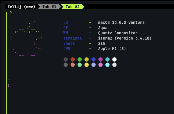 `focus` option in custom layout not working · Issue #2021 · zellij-org/zellij · GitHub