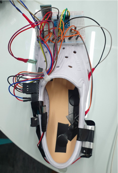 GitHub - Dumbo486/shoesIOTproject