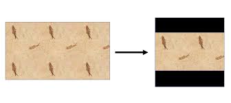 GitHub - madara-tribe/ArcFace-Dual-Model-Classification: ArcFace multi-classification system ...