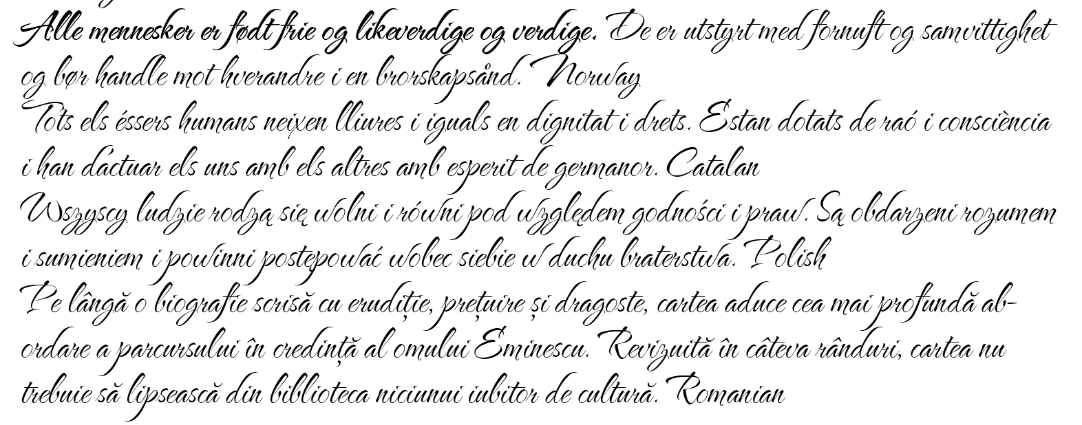 Browsers Preview · Issue #5 · googlefonts/the-nautigal · GitHub