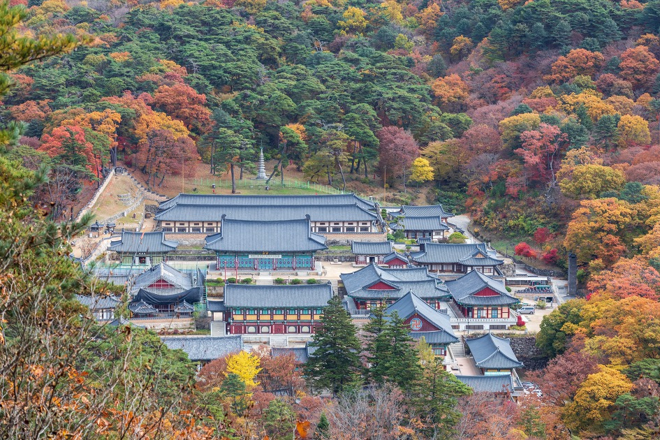 GitHub - dougie-r2/NST_pytorch