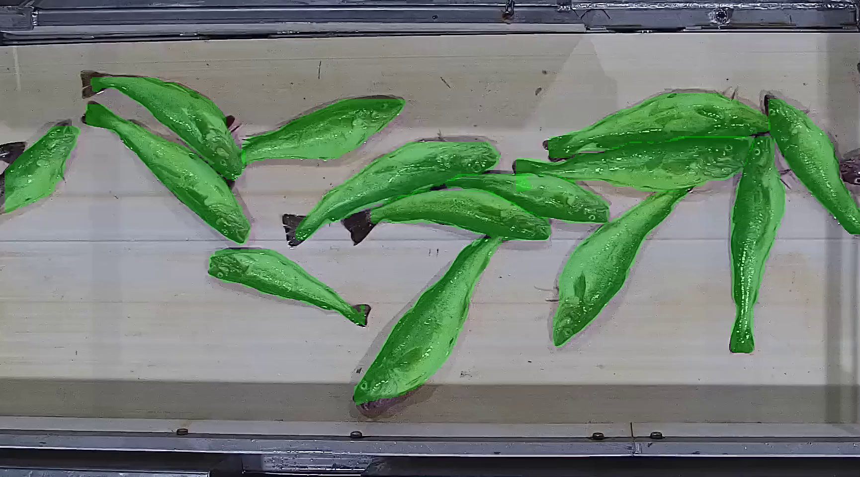 How To Draw Image Segmentation Result using opencv Python · Issue #561 ...