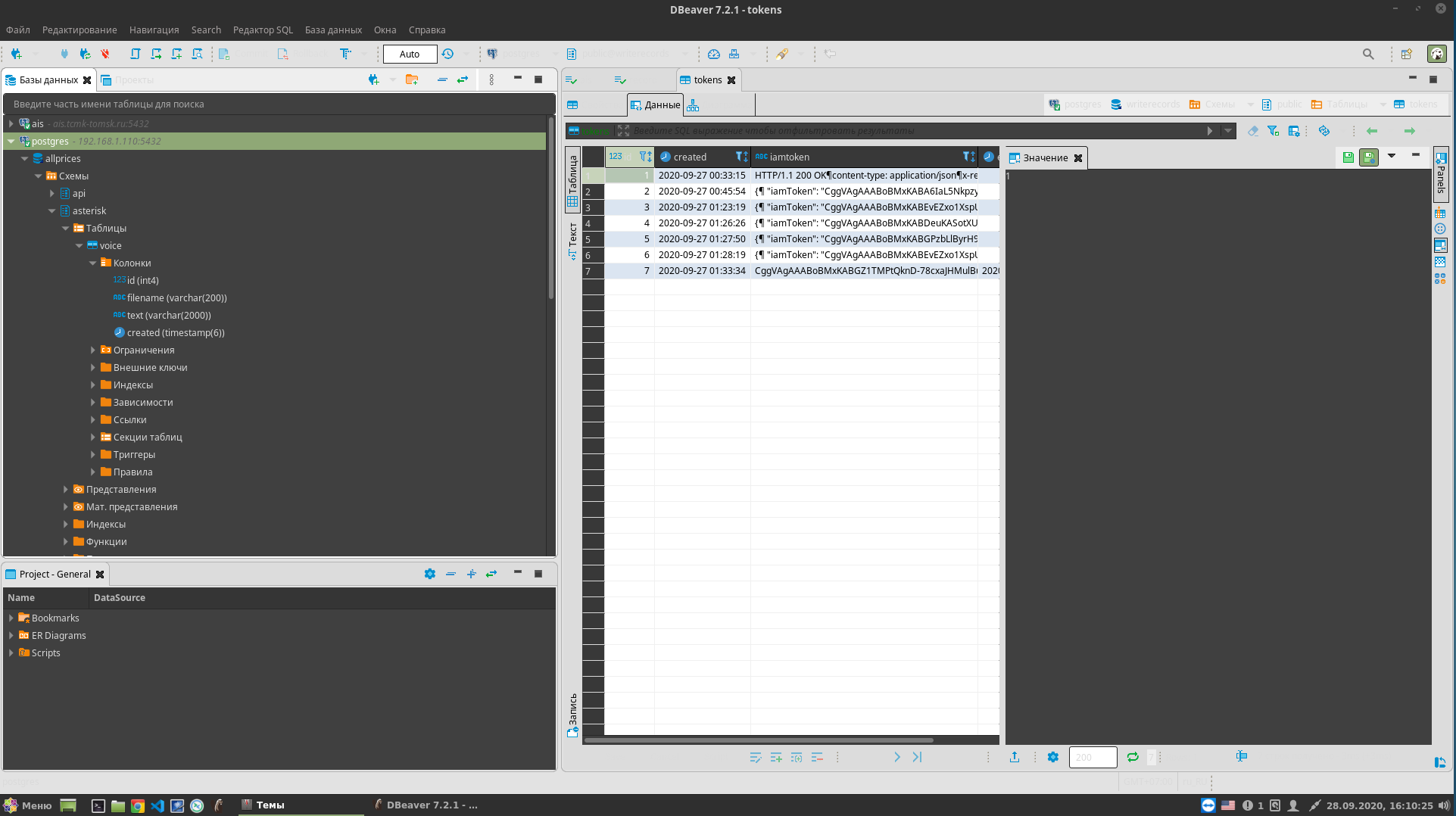 Display in the standard cinnamon theme · Issue #9883 · dbeaver/dbeaver ...