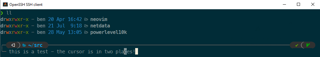 Phantom cursor in terminal · Issue #12677 · neovim/neovim · GitHub