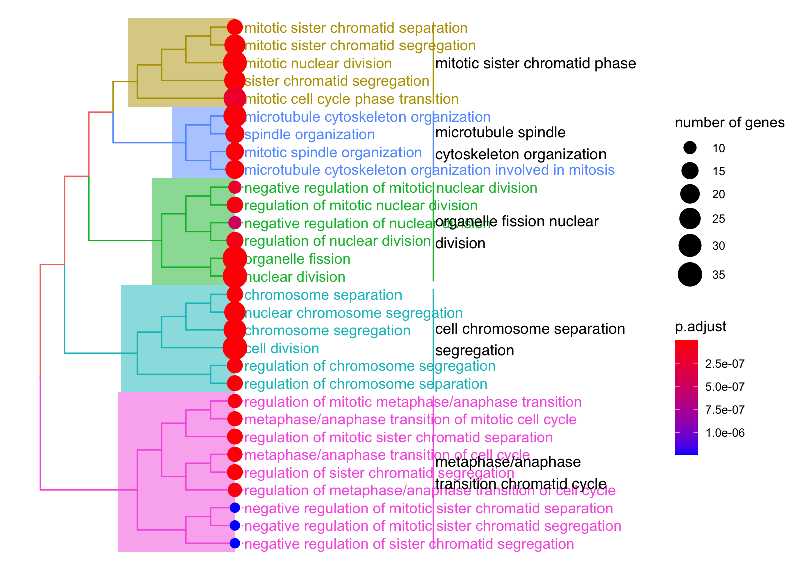 How to move the cluster labels ? · Issue #172 · YuLab-SMU/enrichplot · GitHub