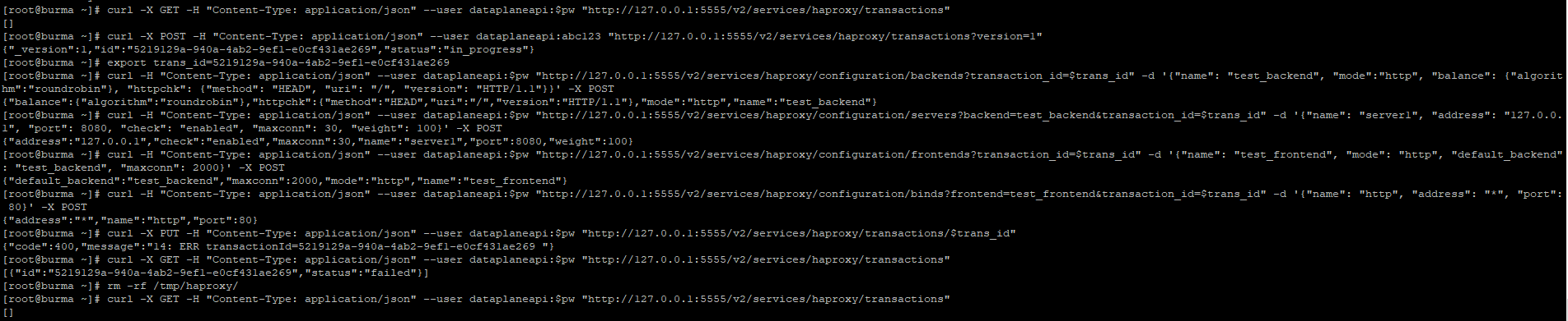 Error Code 400, Message Code 14 On Transaction Commit · Issue #119 · haproxytech/dataplaneapi ...