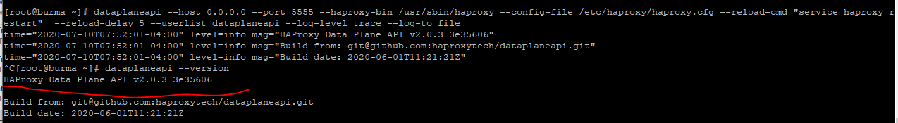 Error Code 400, Message Code 14 On Transaction Commit · Issue #119 · haproxytech/dataplaneapi ...