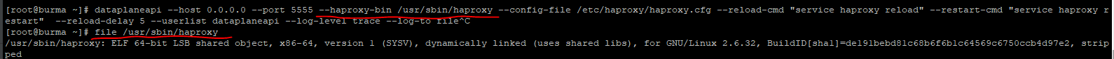 Error Code 400, Message Code 14 On Transaction Commit · Issue #119 · haproxytech/dataplaneapi ...