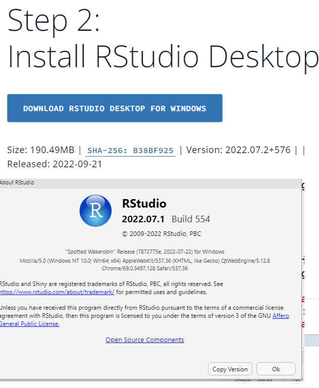 RStudio unable to detect new release · Issue #10745 · rstudio/rstudio · GitHub