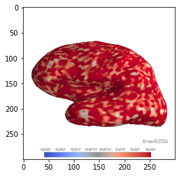 BUG: stc plot color limits · Issue #8642 · mne-tools/mne-python · GitHub