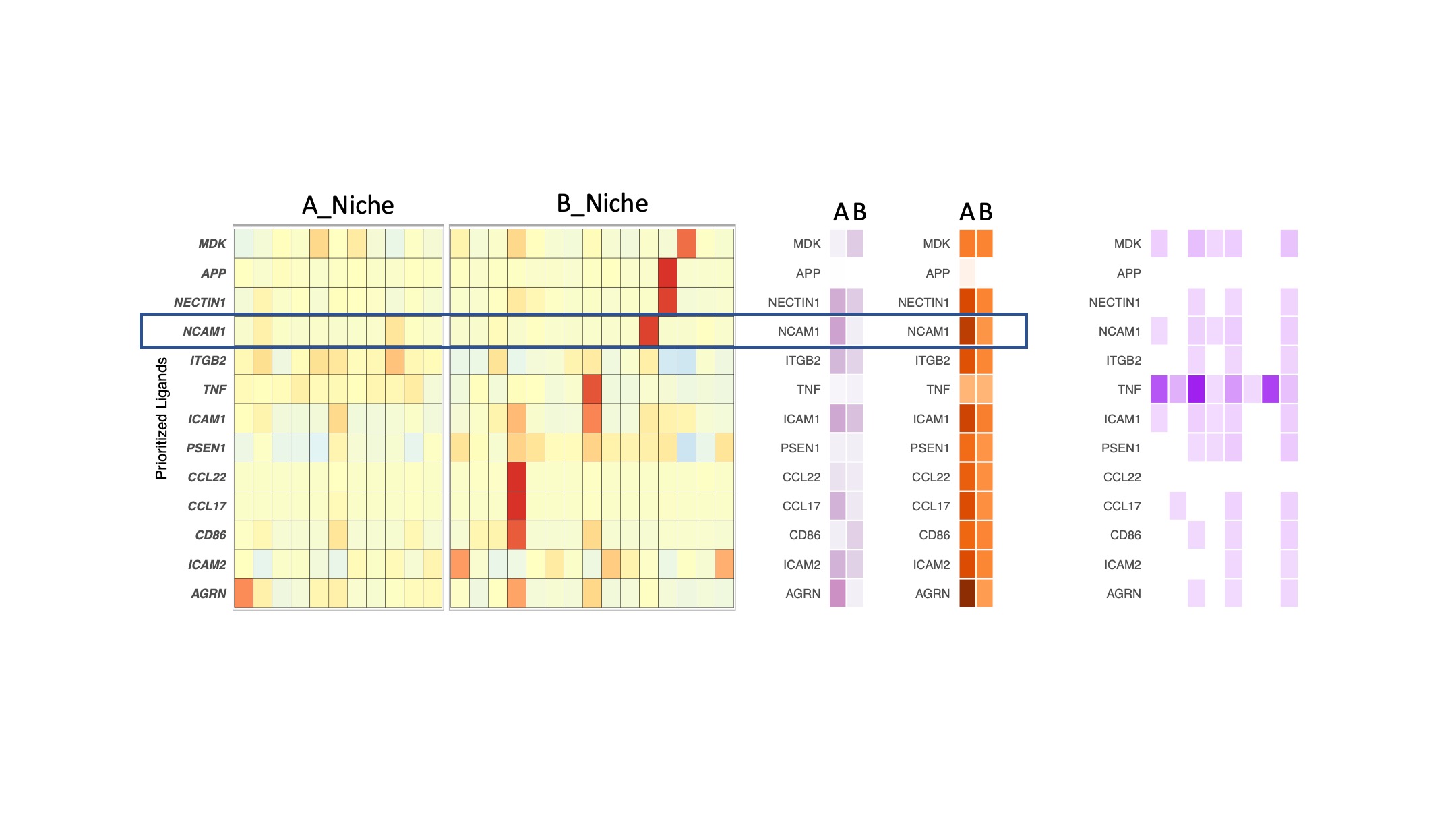 Question for interpreting ligand activity · Issue #168 · saeyslab/nichenetr · GitHub