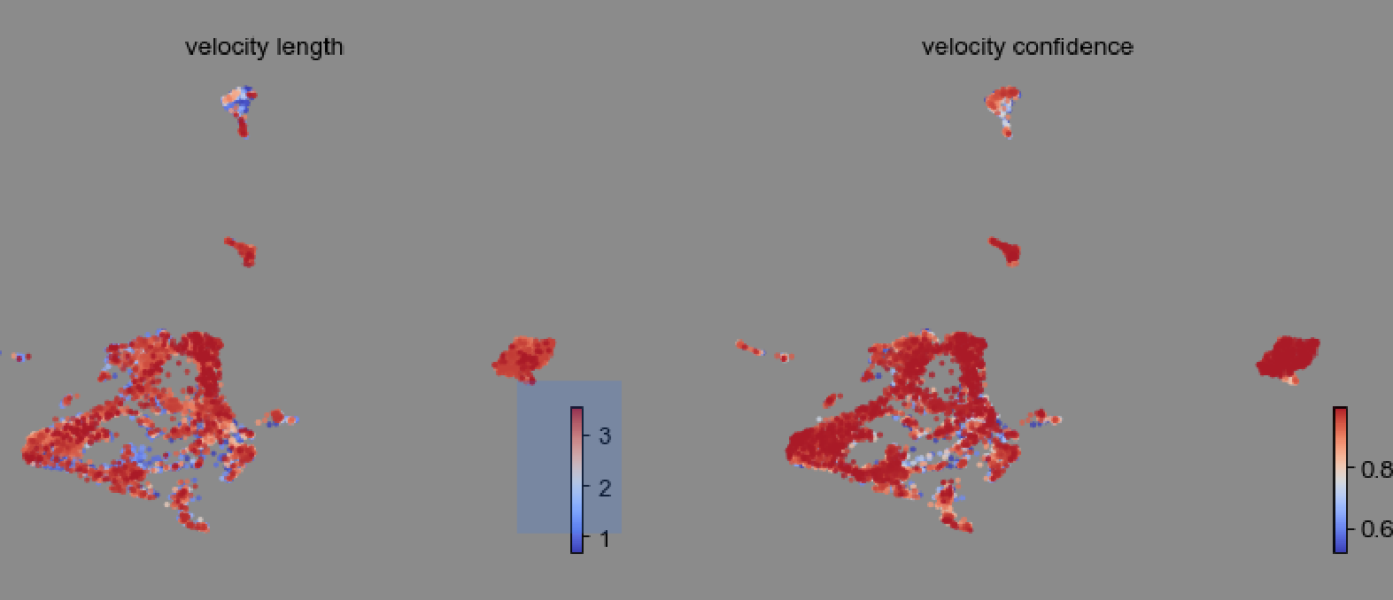 scv.pl.scatter plot resolution · Issue #998 · theislab/scvelo · GitHub