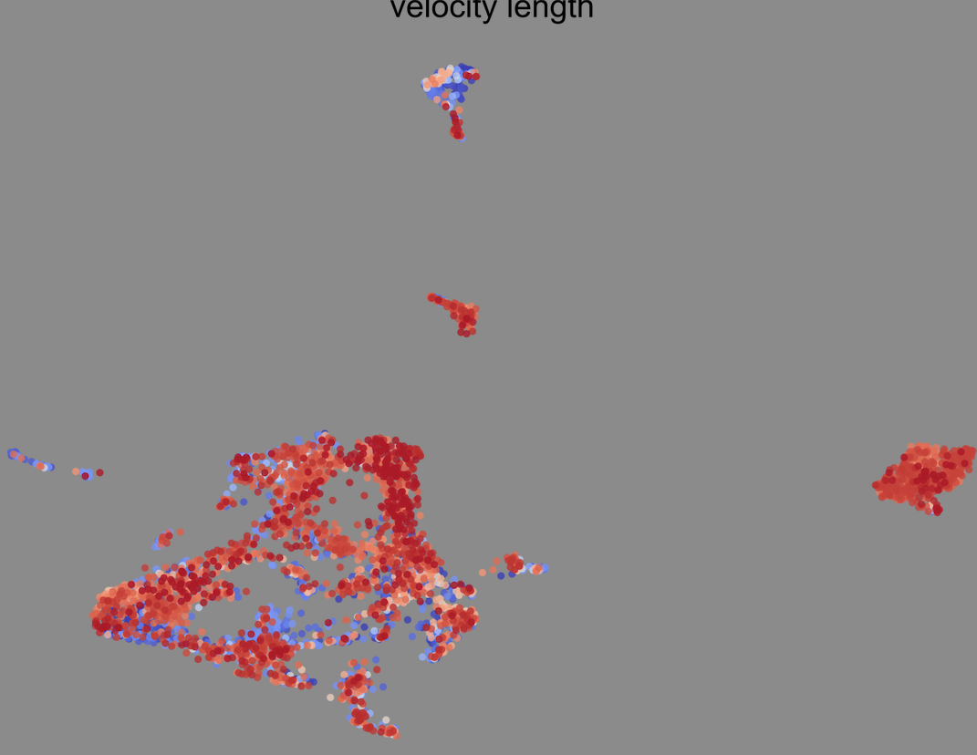 scv.pl.scatter plot resolution · Issue #998 · theislab/scvelo · GitHub