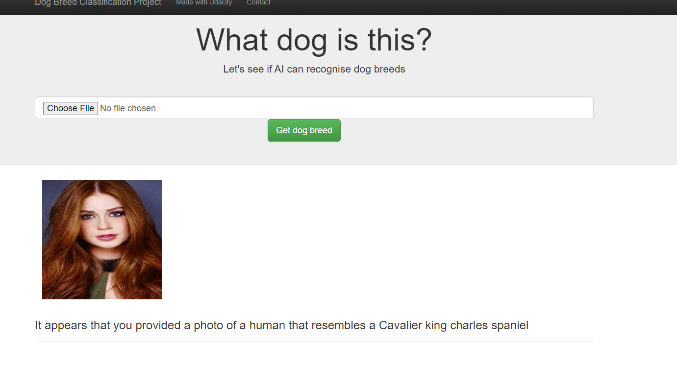 GitHub - alinelira/dog_breed_classifier