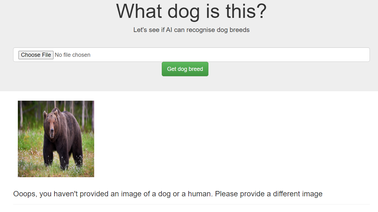 GitHub - alinelira/dog_breed_classifier