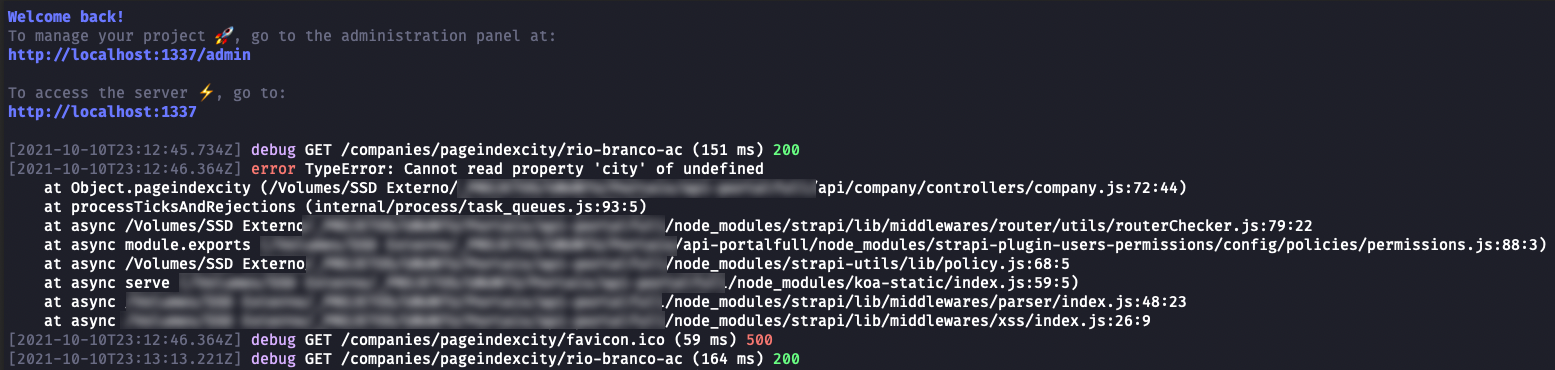 Error get favicon.ico in route custom · Issue #11229 · strapi/strapi · GitHub