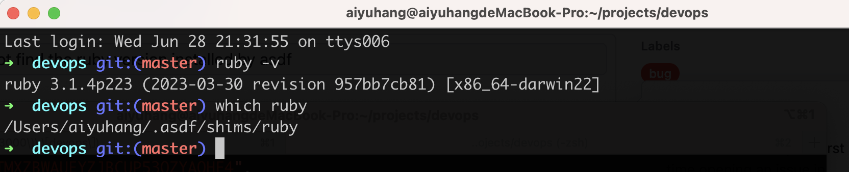 Bug The Terminal In Vs Code Cannot Find The Ruby Version Installed By Asdf · Issue 1584 · Asdf 6890