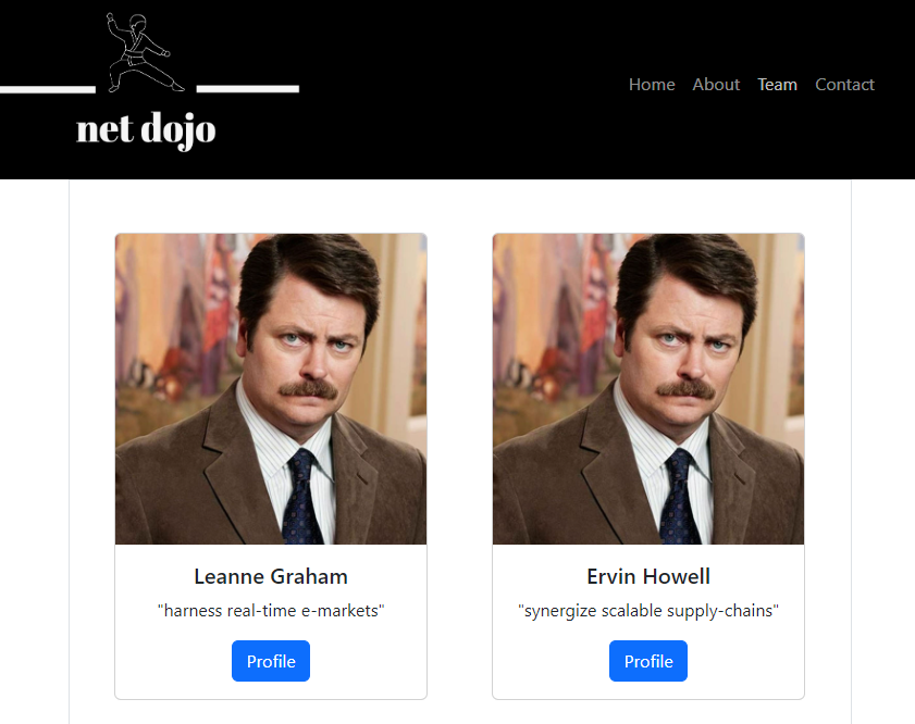 GitHub - uralrdybread/net-dojo: Basic API usage within Angular