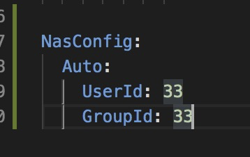 NasConfig: Auto 支持指定 UserId、GroupId · Issue #633 · alibaba/funcraft · GitHub