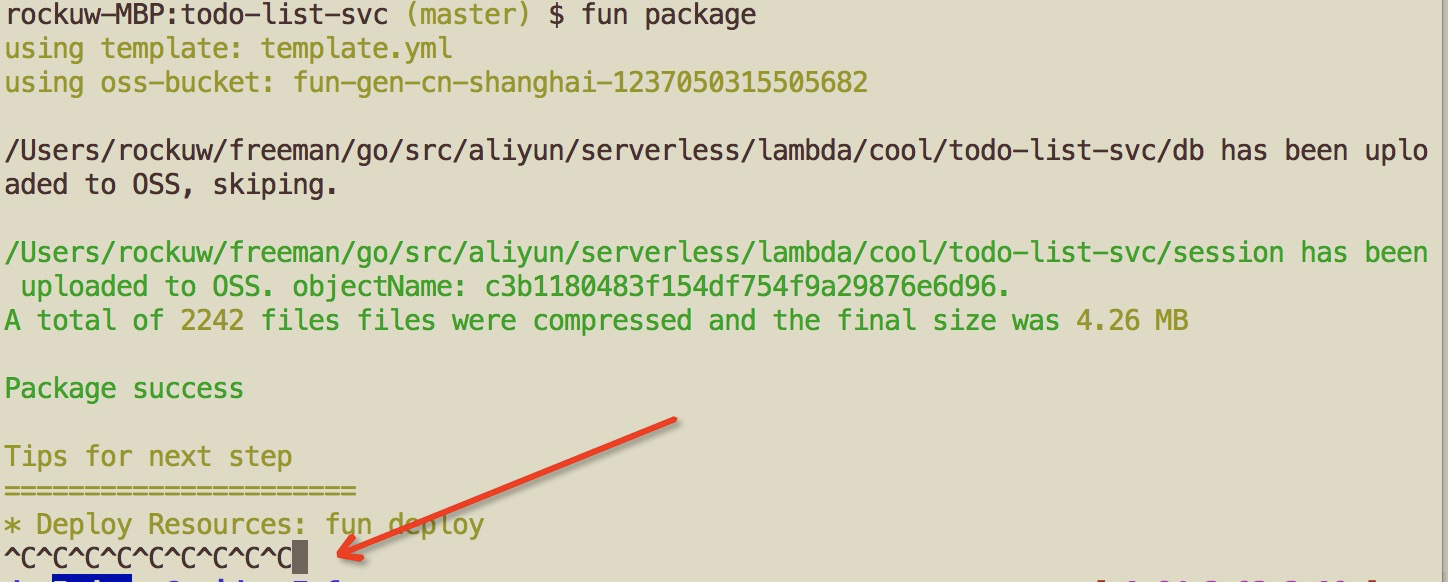 fun package ctrcl + c 不退出 · Issue #749 · alibaba/funcraft · GitHub