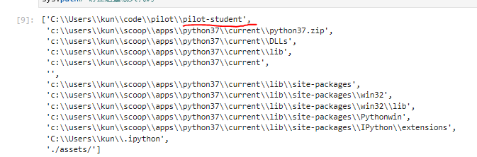 NameError: name 'null' is not defined · Issue #773 · neolee/pilot · GitHub