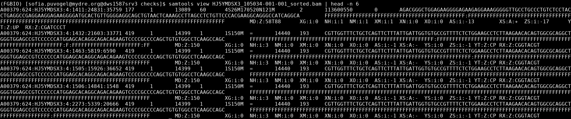 Samtools sort with paired-end RNA-seq · Issue #1736 · samtools/samtools · GitHub