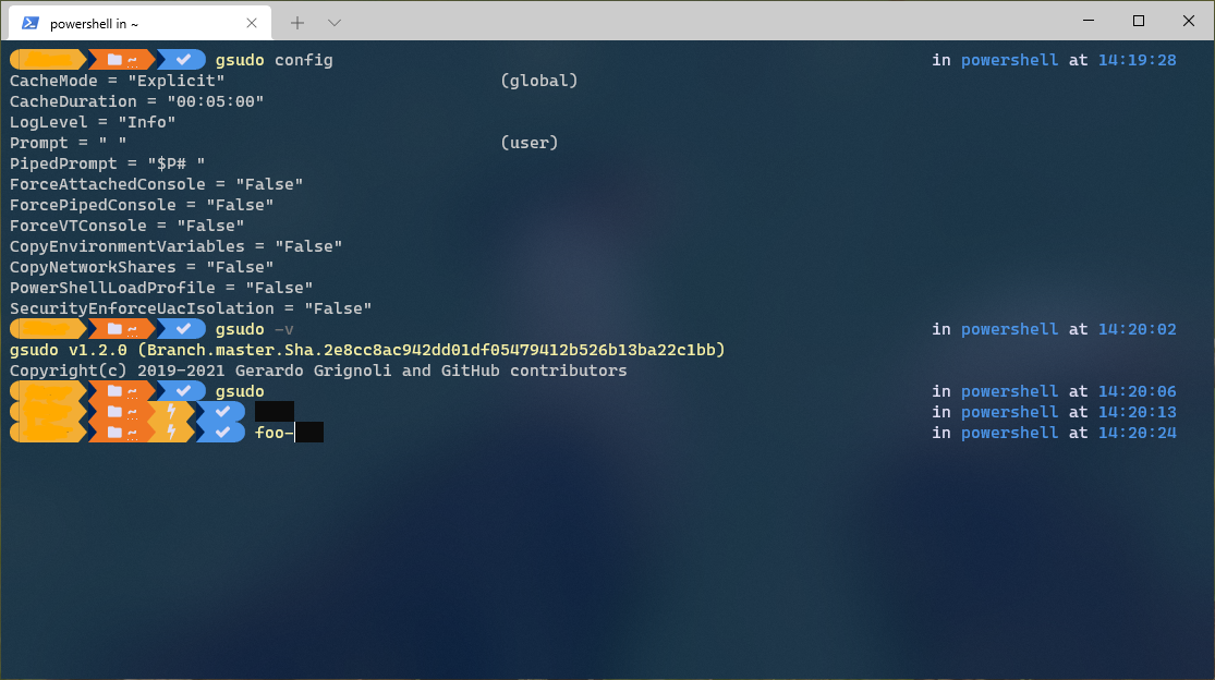 gsudo change theme settings · Issue #51 · gerardog/gsudo · GitHub
