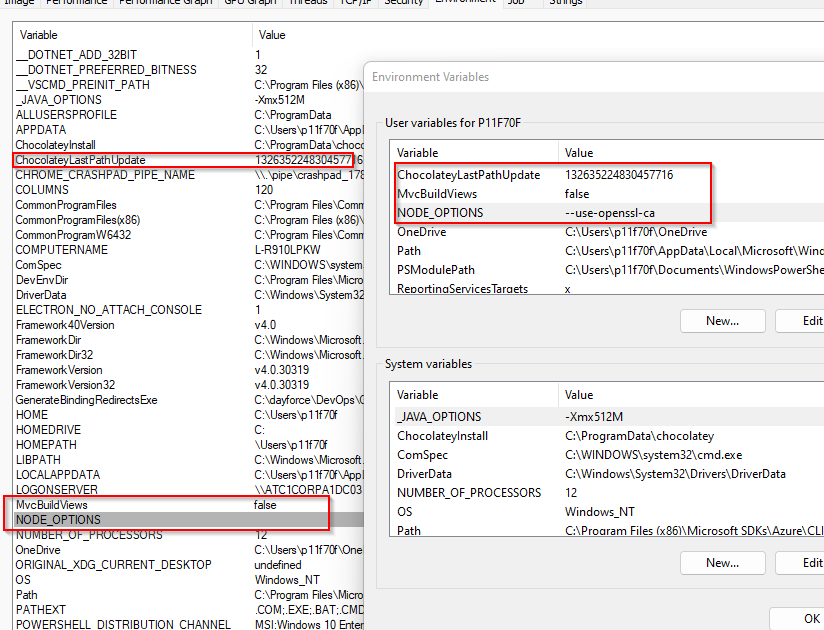 Nodeoptions Environment Variable Value Does Not Propagate To Vs Code · Issue 164090 