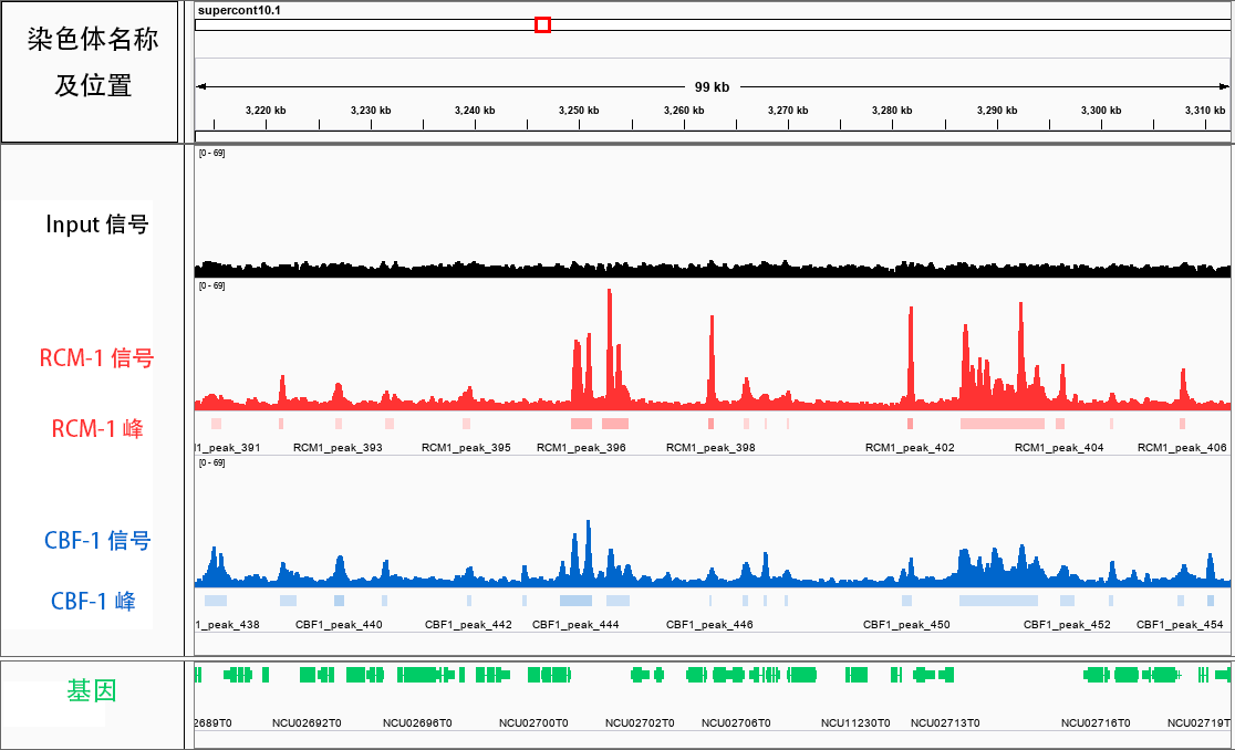 GitHub - yukinoshita0219/ChIP-seq-Correlation: Python scripts for correlation analysis of ChIP ...