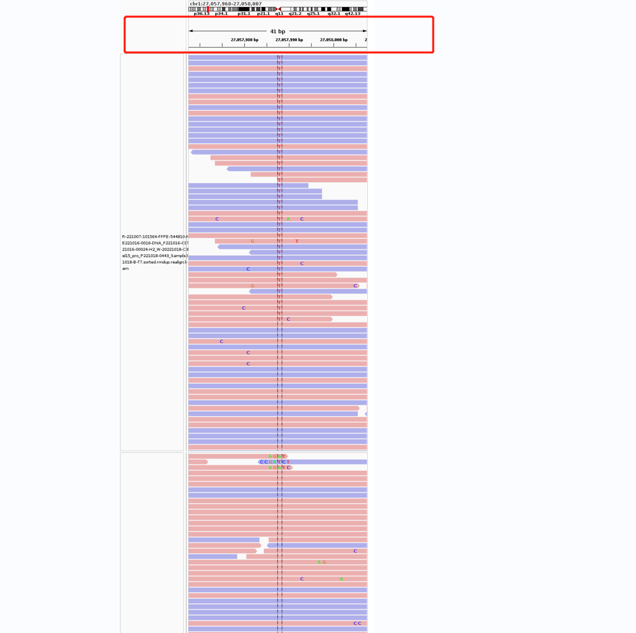 Can I get igv screenshot result like using windows igv (full width)? · Issue #740 · igvteam/igv ...