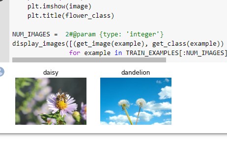 GitHub - wainainapete/Flower-Classification_Model: Universal_AI Diploma ...