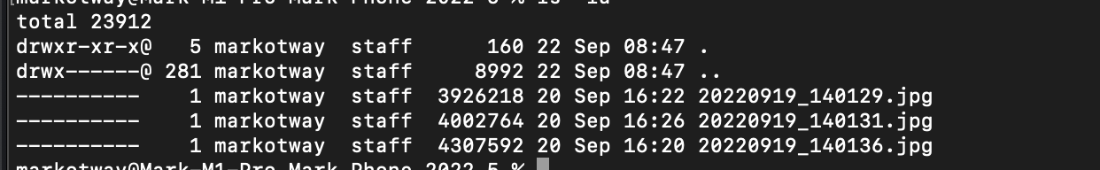 Permissions In Ziparchive Missing On Linux Regression In 7 Rc1 · Issue 76006 · Dotnet