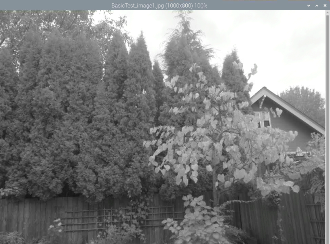 Adding the Raspberry Pi NoIR Camera Module · Issue #2569 · motioneye-project/motioneyeos · GitHub