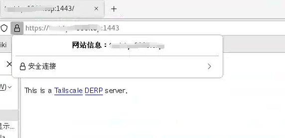 2023/05/06 16:51:48 http: TLS handshake error from xxxxxxxxx:17431: remote error: tls: bad ...